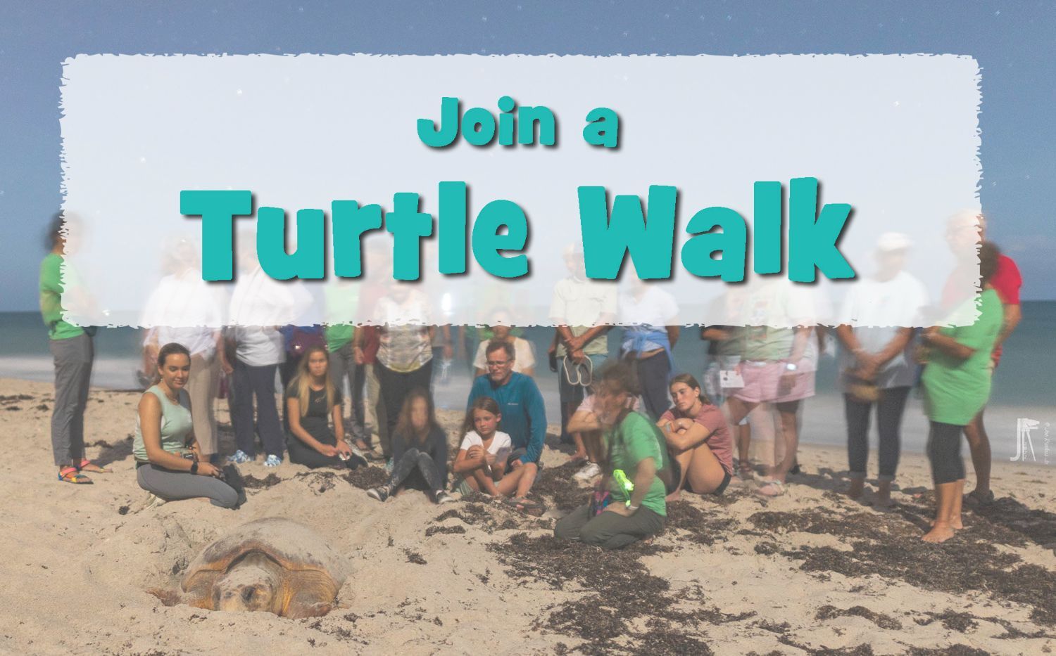 2024 Turtle Walk Registration